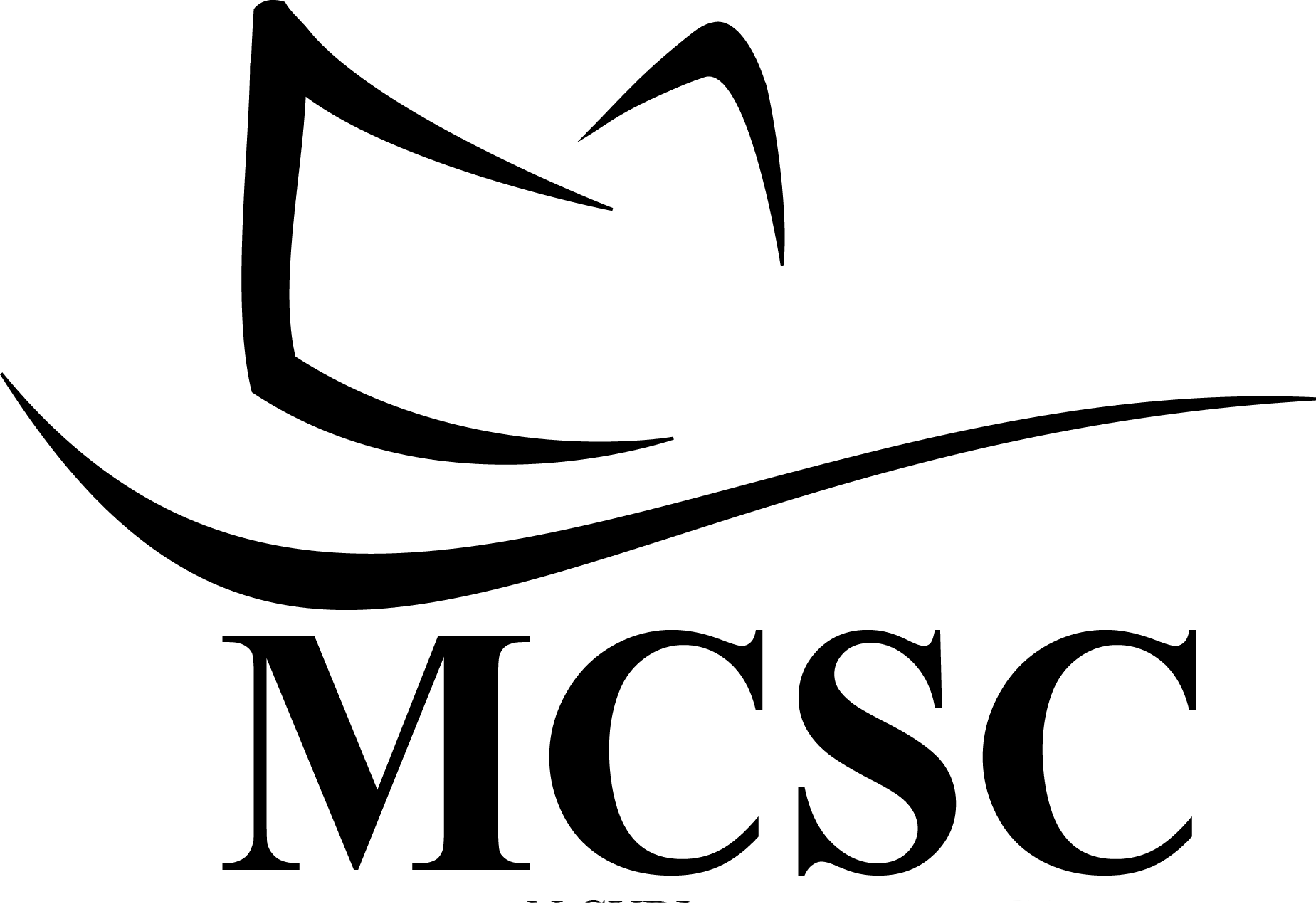 CTFtime.org / MCSC Staff