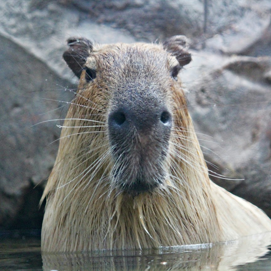 CTFtime.org / TaiwanDing